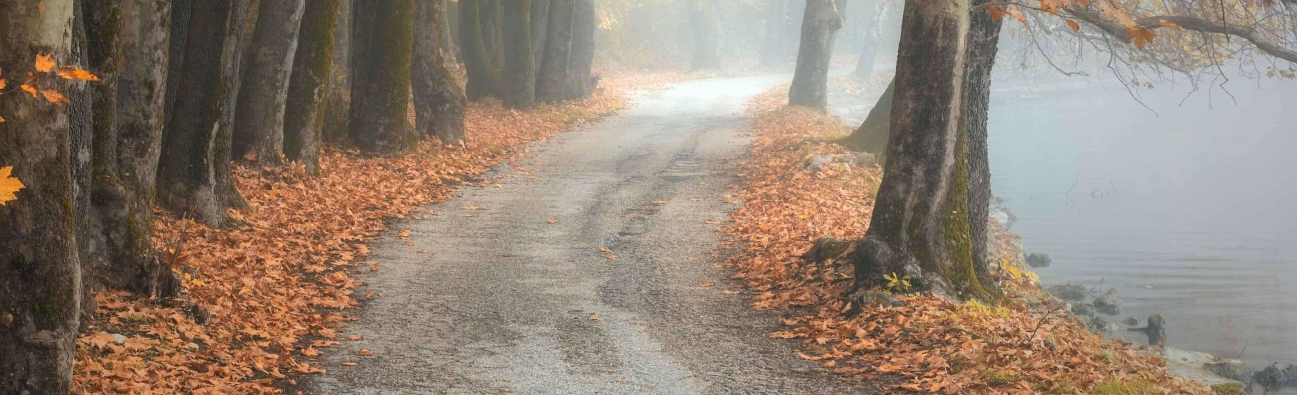 Sentiers - Bouches-du-Rhône