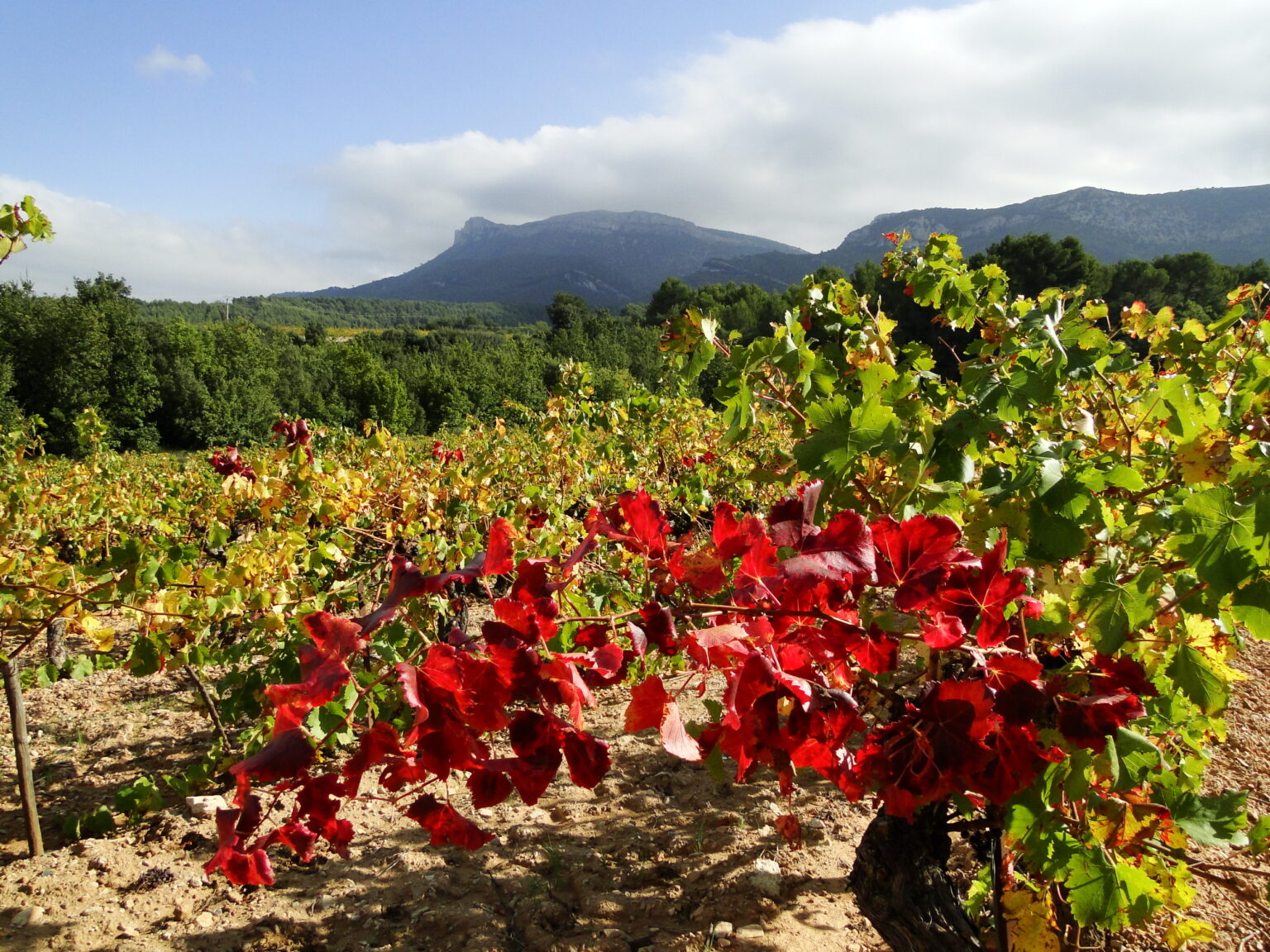 Sentiers - Bouches-du-Rhône